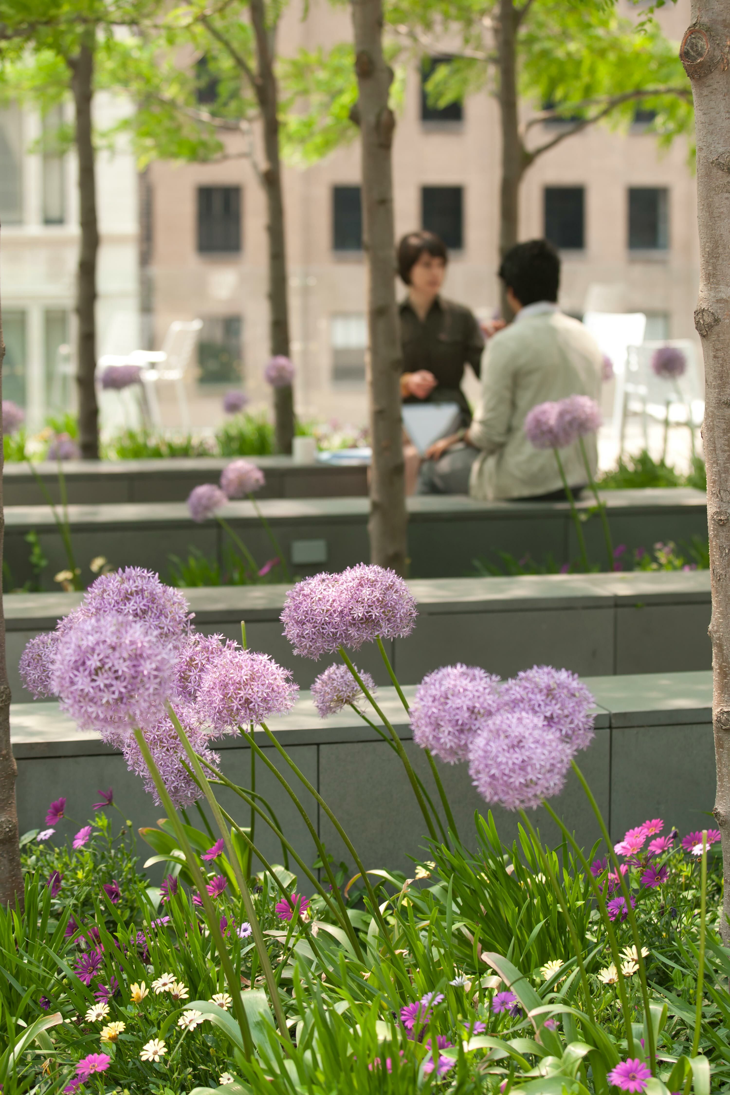 Hoerr Schaudt | Morningstar