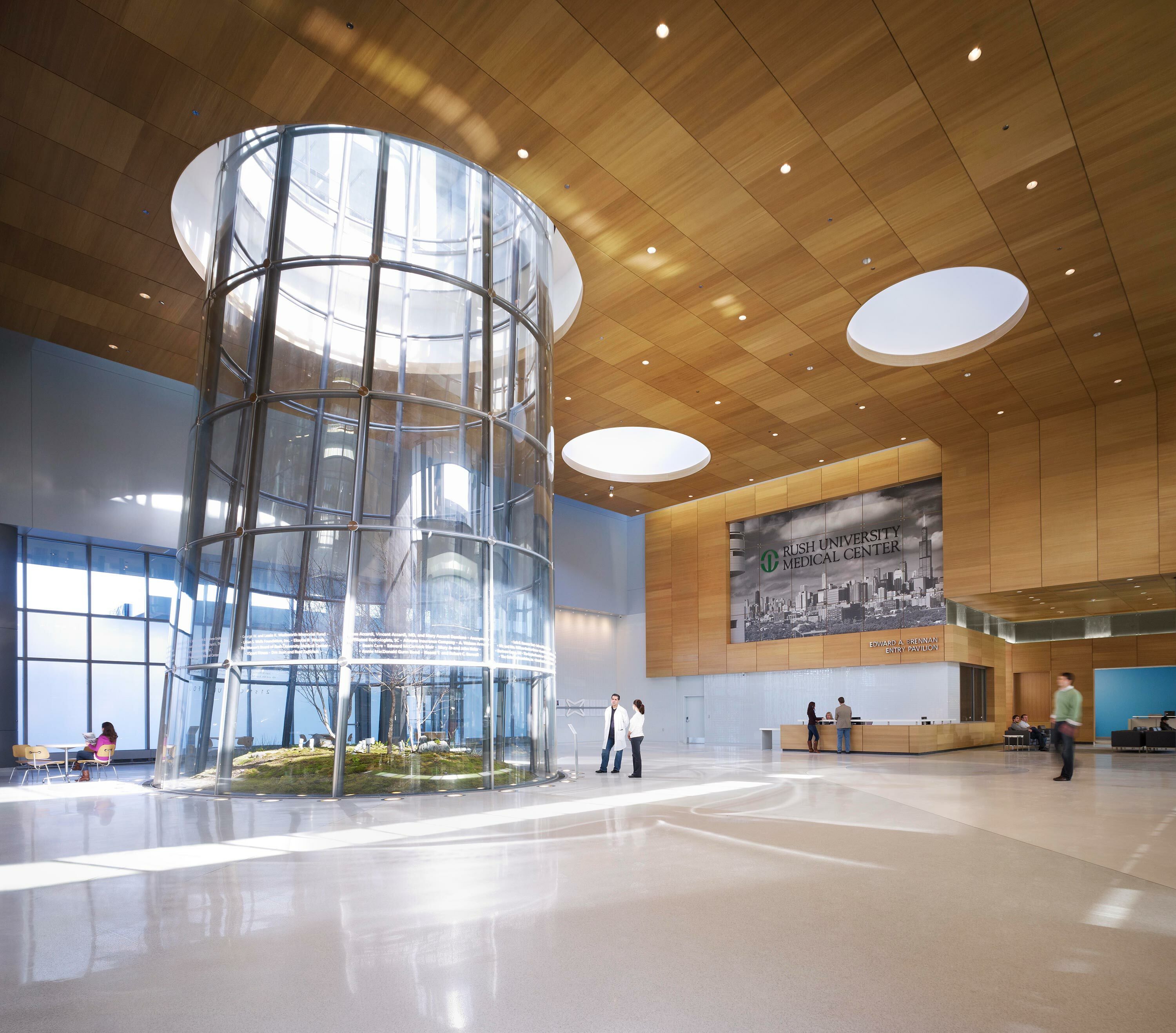 Hoerr Schaudt | Rush Hospital